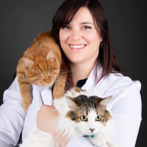 Puyallup, WA 98372 Veterinarians | Puyallup Valley Veterinary Clinic